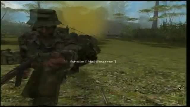 vietcong 2003