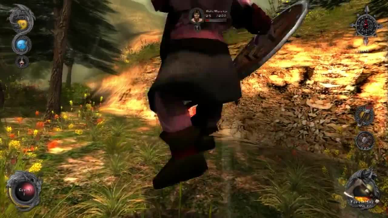 Dulo Warrior VS Dulo Warrior VS me :) video - KRUM - IndieDB