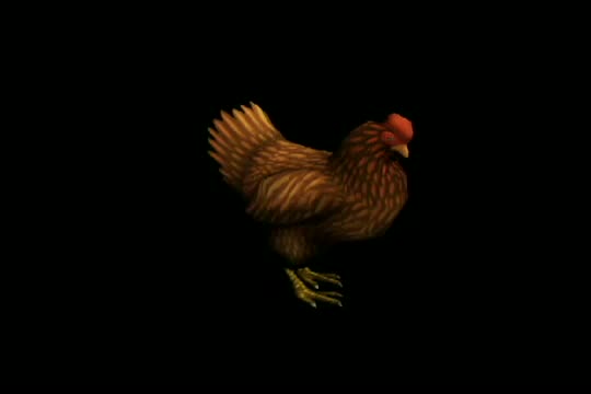 chicken idle 1 animation for unity 3d video - Indie DB