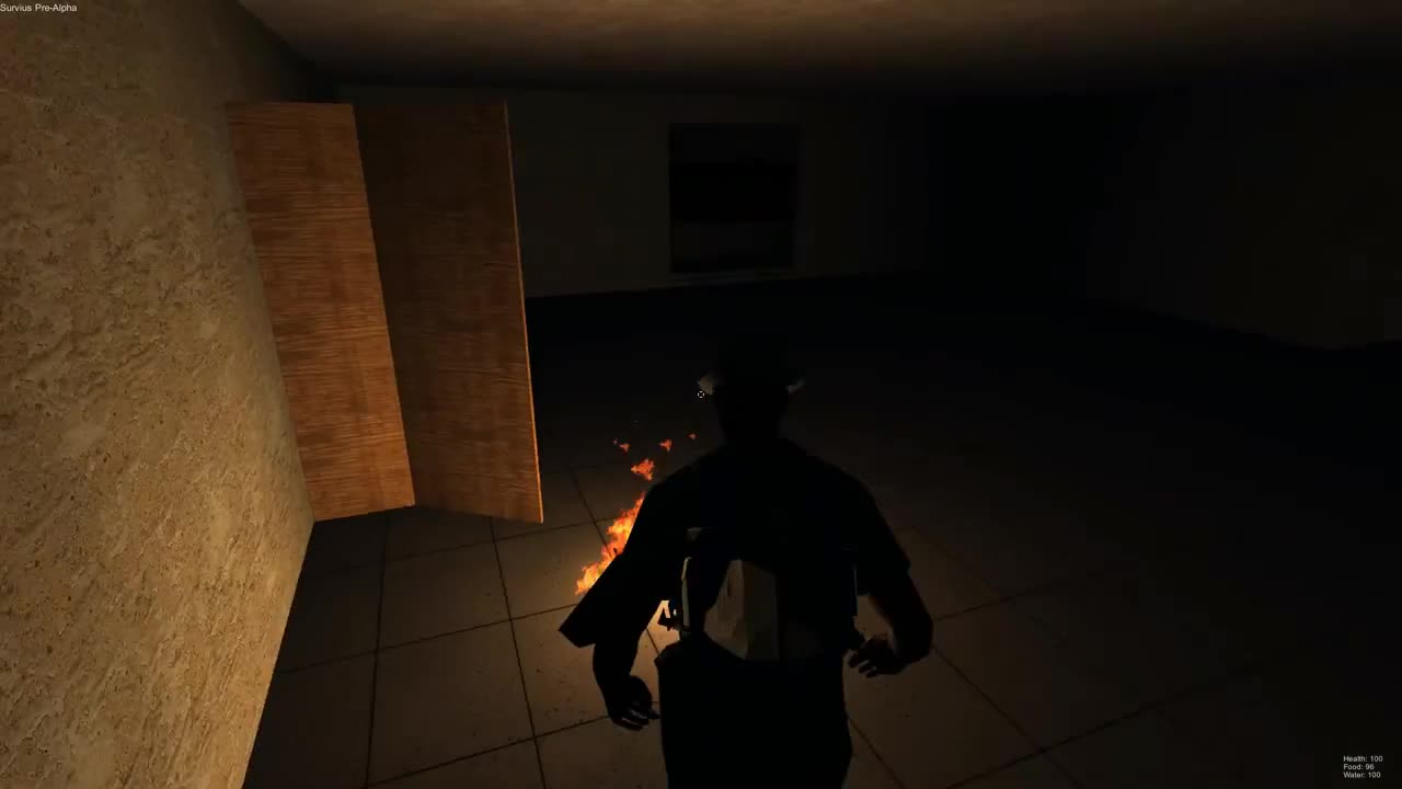 Survius - Campfire and Grilling Meat video - IndieDB