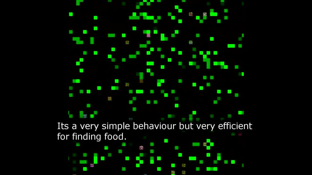 Gridworld - Evolving Artificial Life video - IndieDB