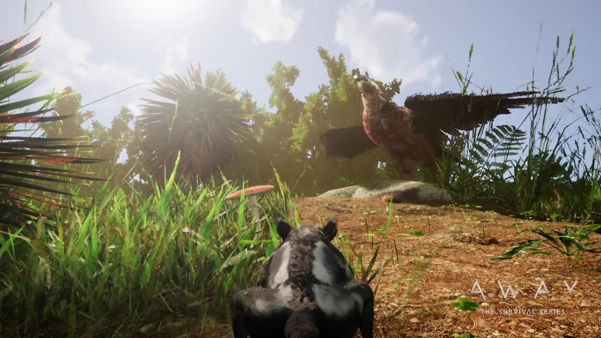 The Vulture makes an appearance! video - AWAY: The Survival Series ...