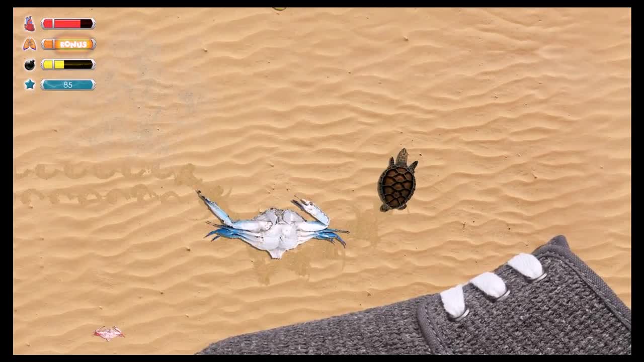 Turtle Quest video - IndieDB