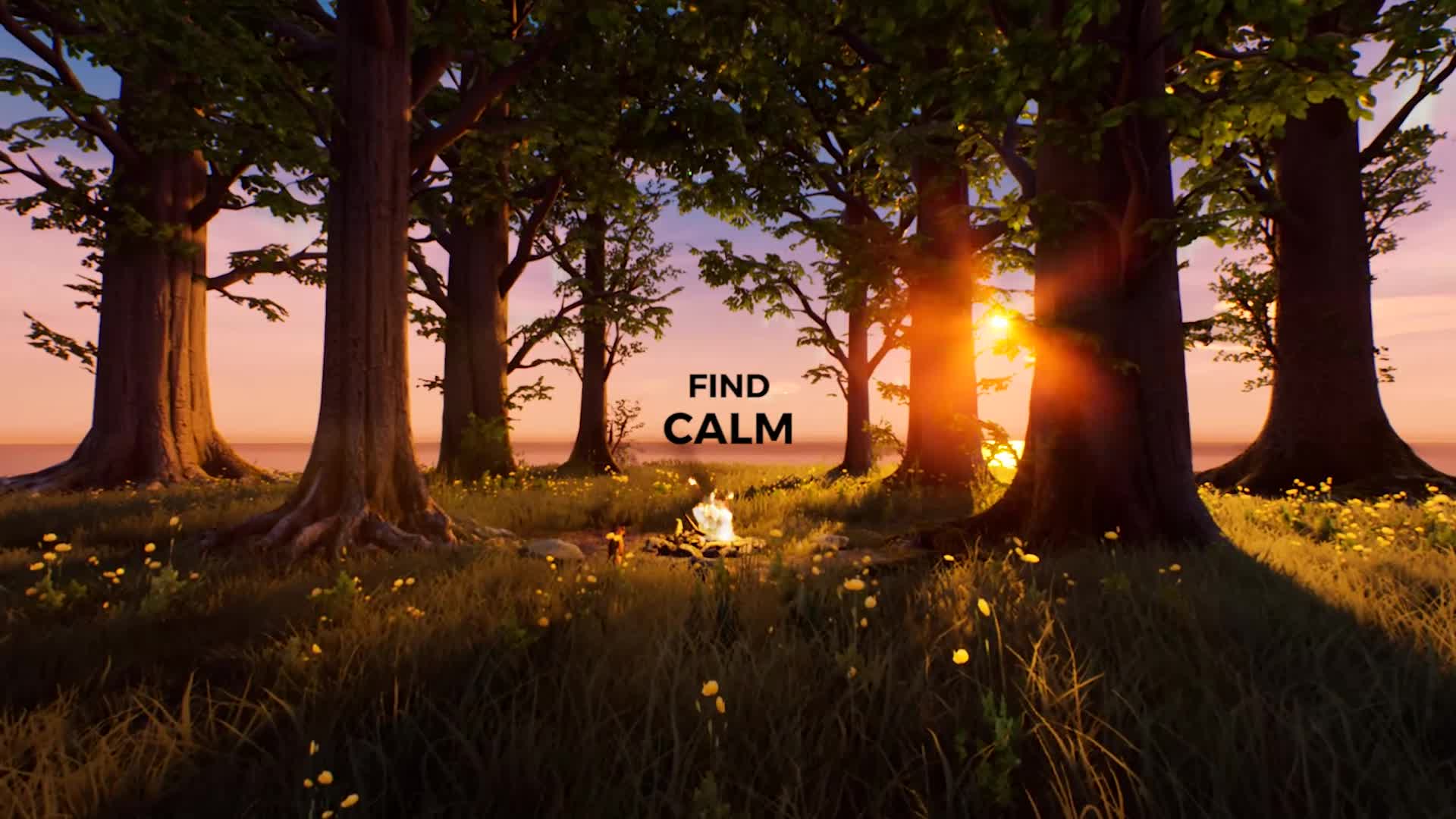 Evolution Trailer 1 video - PLAYNE : The Meditation Game - IndieDB