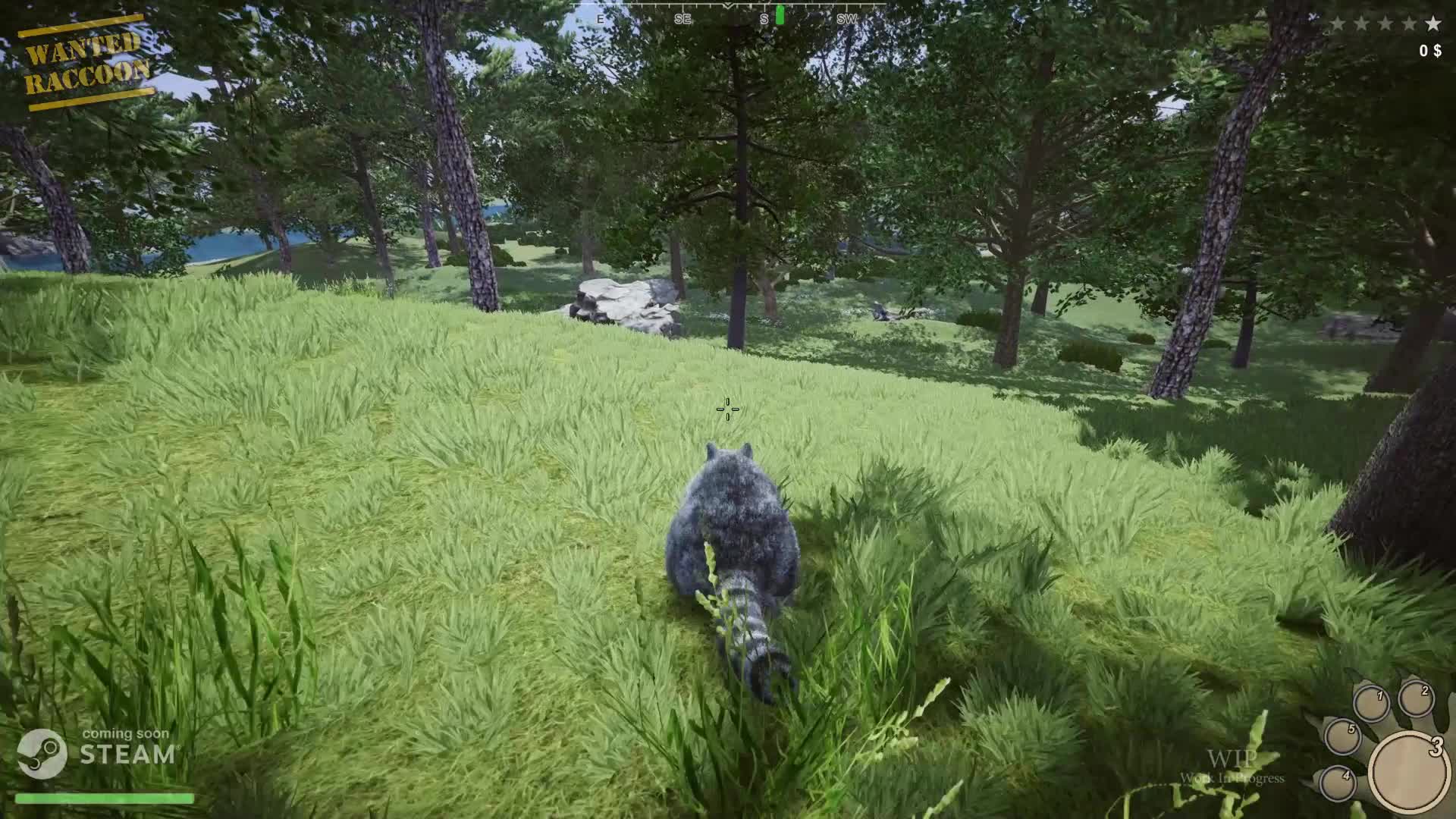 Wanted Raccoon | Wood in the game, grass and trees video - IndieDB
