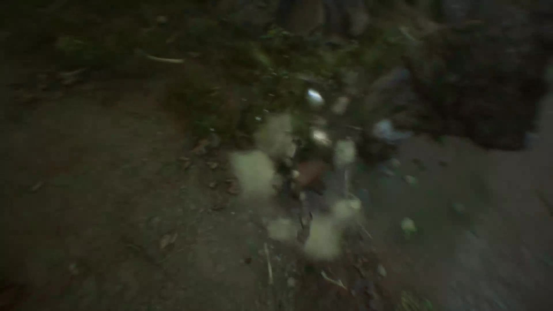 Mortal Shell Tiel The Acolyte Gameplay Trailer 3 video - ModDB