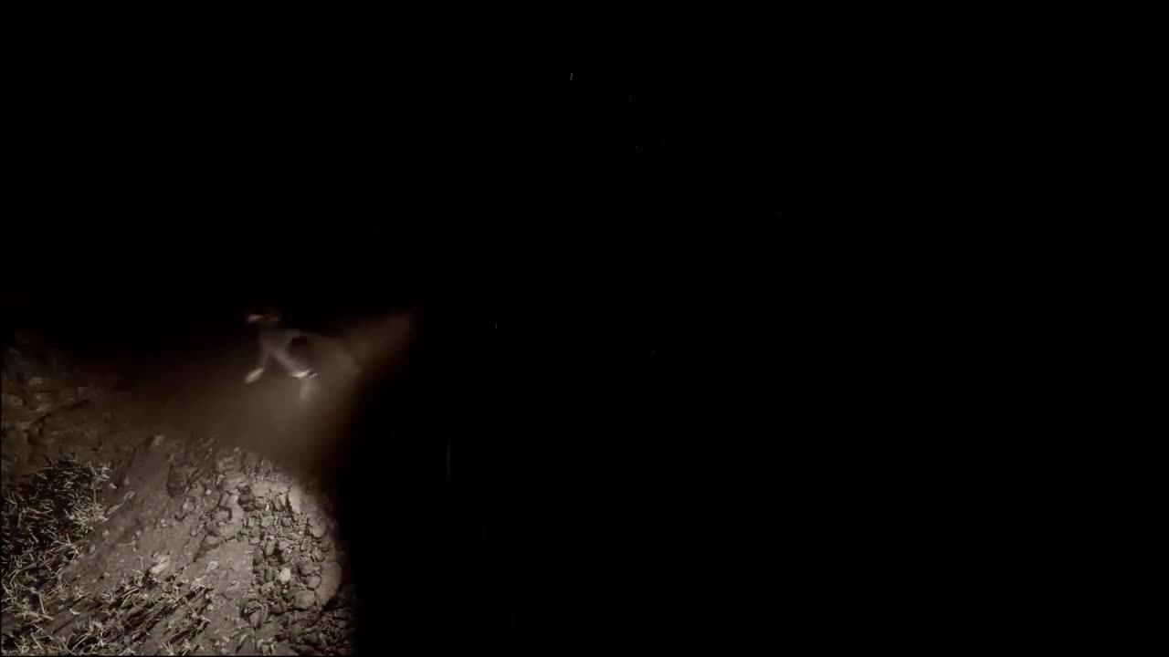 NEW SURVIVAL HORROR GAME (BIG-UPDATE) - TRAUMA #1 video - ModDB