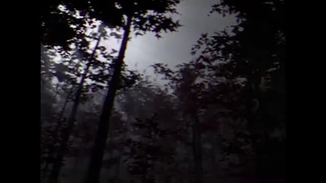 The Crimson Forest in The Backrooms video - Backrooms: The Project - IndieDB