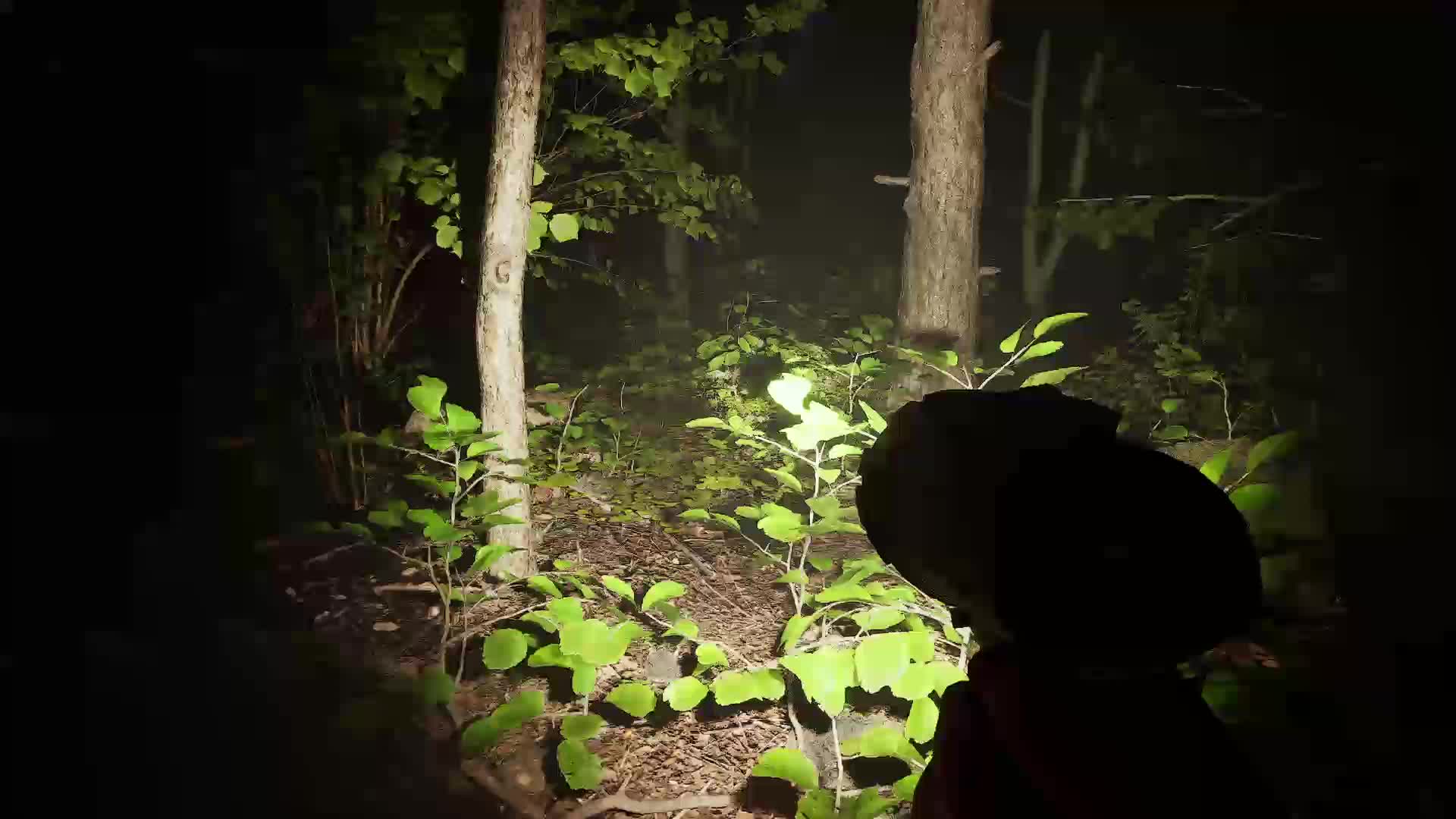 Nightwalk Simulator - Official Reveal Trailer video - ModDB