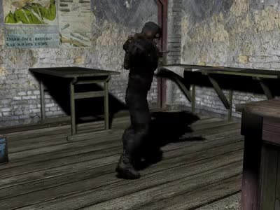 Get out of here Stalker ¤__¤ video - 100 Rads Bar - ModDB