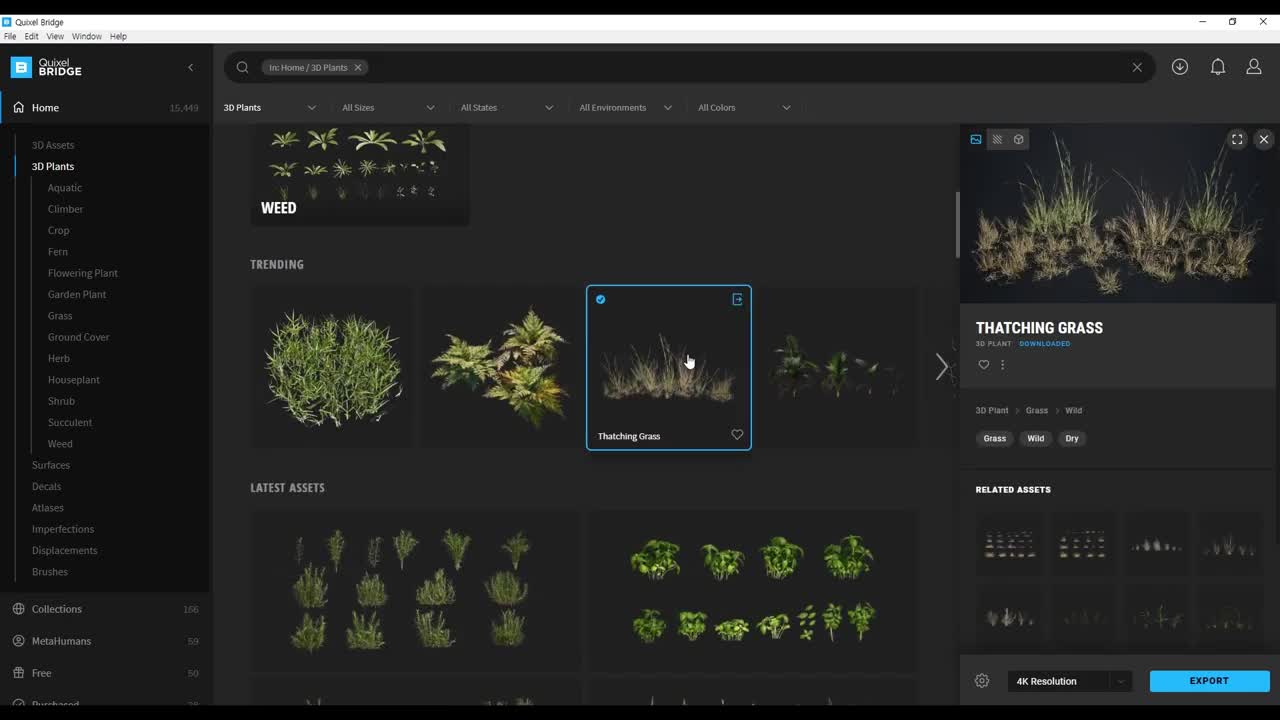 UE4 How to use Foliage Tool of Unreal Engine with video - Coreb Games - ModDB