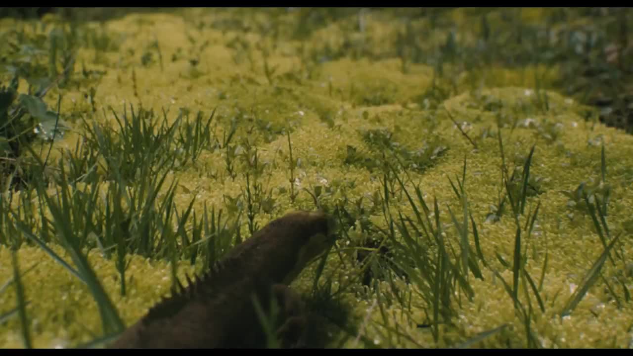 Theistic Evolution (Noah Creation Scene) video - The Debating Society ...