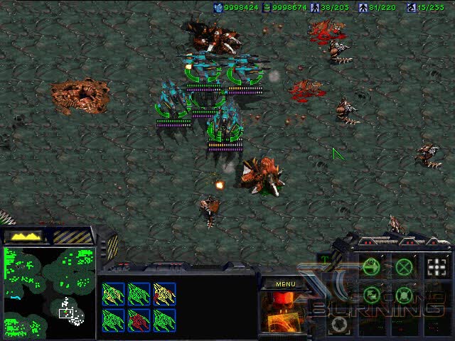 HOTS Griffon and Unit Rank System. video - StarCraft: Burning Ground ...