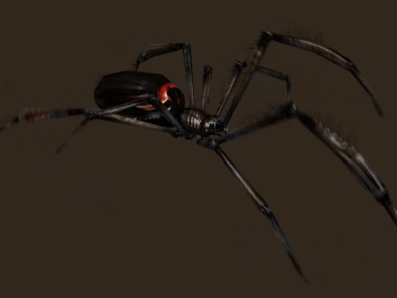 Spider Walk Animation video - Nightblade mod for Unreal Tournament 3 ...