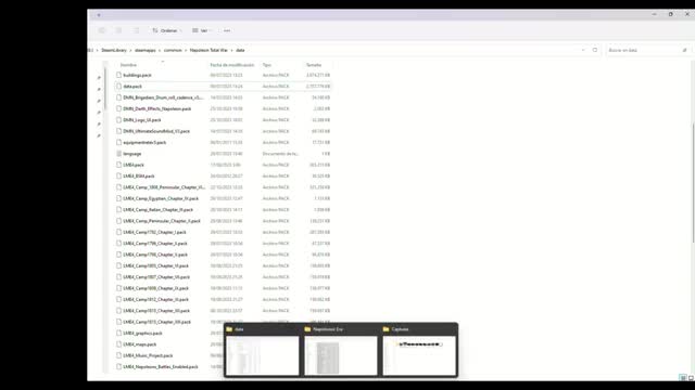 Napoleonic Era Chapters Installation Tutorial video - ModDB